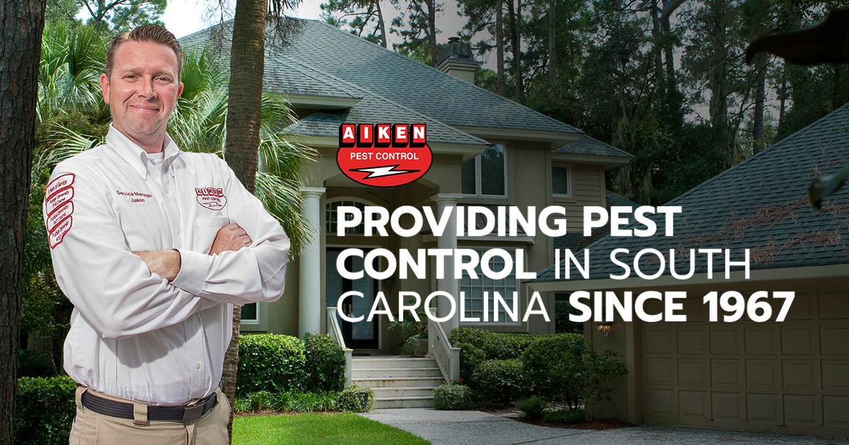 Rat Control in North Augusta | Aiken Pest Control, Inc.